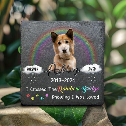 Personalized Memorial Stone I Crossed the Rainbow Bridge Pet Lost Gift for Pet Owner - Drawmade.com