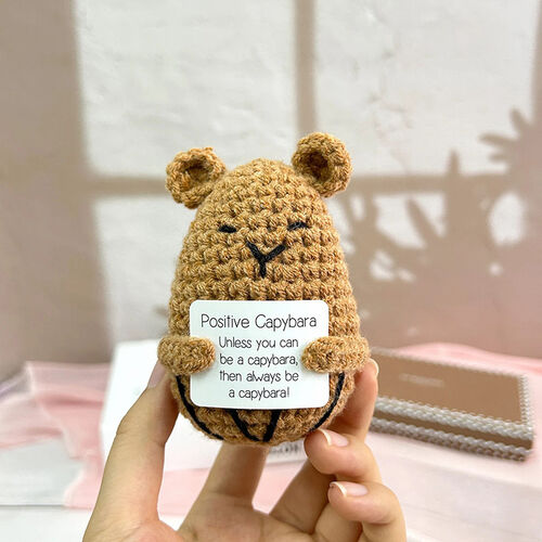 Handmade Crochet Capybara Positive Doll Cute Gift for Friends ...
