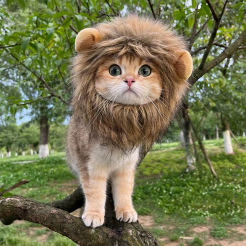 Personalized Pet Costume Handsome and Cute Lion Disguise Design Perfect ...